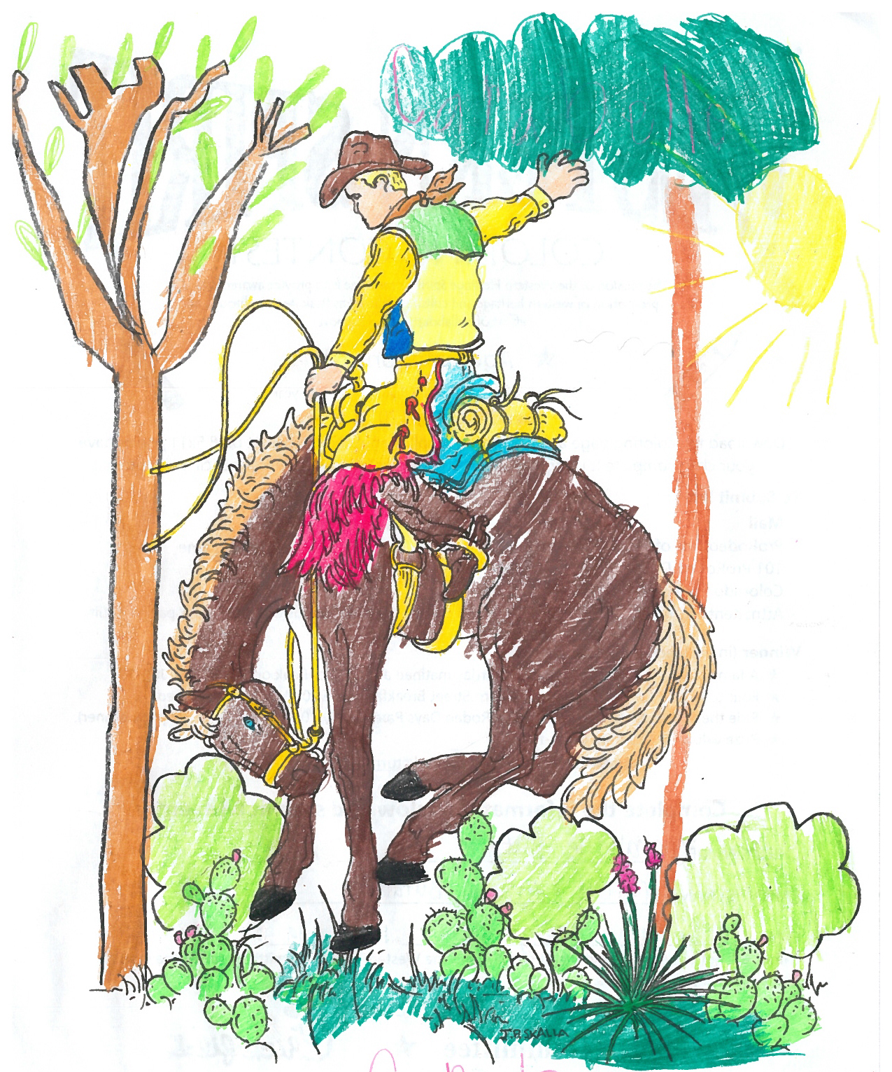 2018 – Western Heritage Spirit of Colorado Springs